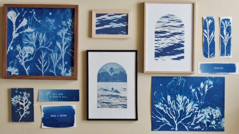 KIT CYANOTYPE : l'essentiel pour débuter cette technique d'impression ...